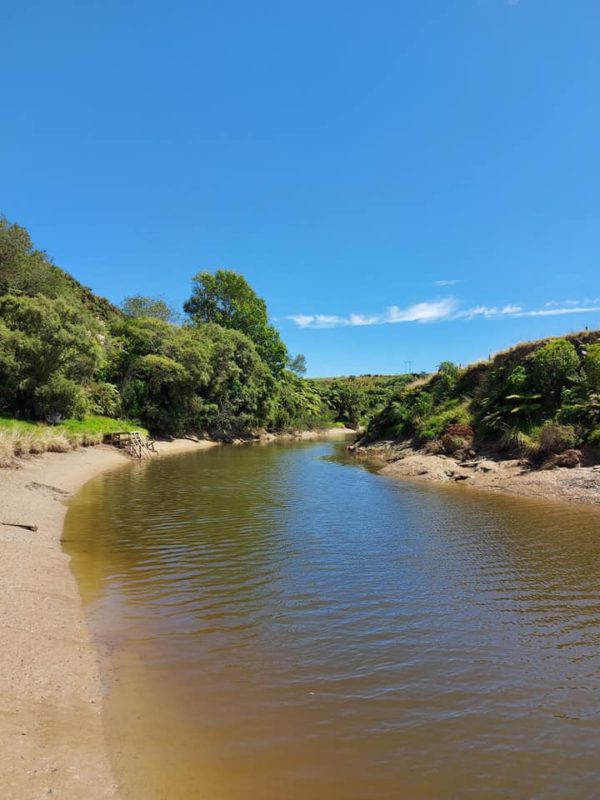 Environment | Te Rūnanga o Ngāti Mutunga